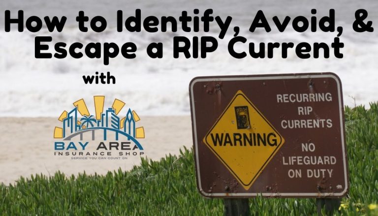 How to Identify, Avoid, and Escape a RIP Current - Bay Area Insurance Shop